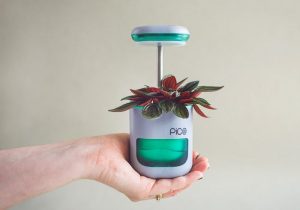 9 Ingenious New Product Launch Examples for Entrepreneurs – Prelaunch Blog